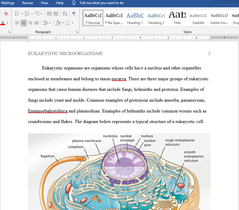[Solved] Types of eukaryotic microorganisms - yourhomeworksolutions.com