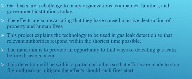 Create an Information Technology (IT) project plan ...