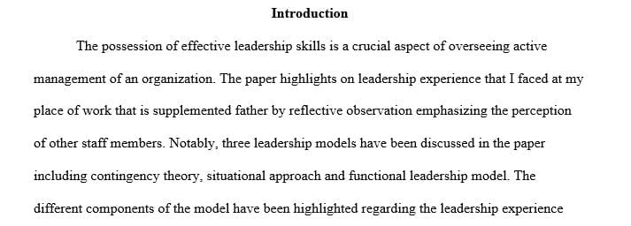 Concrete Experience: Objectively describe the leadership experience ...