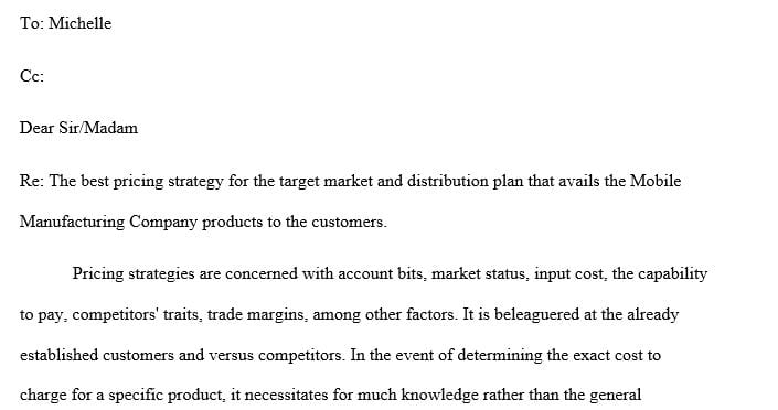 Write a 2-3 page memo outlining two different pricing strategies ...