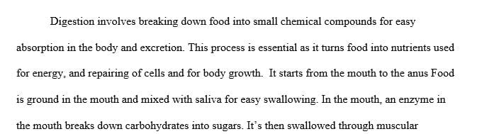 [Solved] Briefly describe the path of food through the digestive system ...