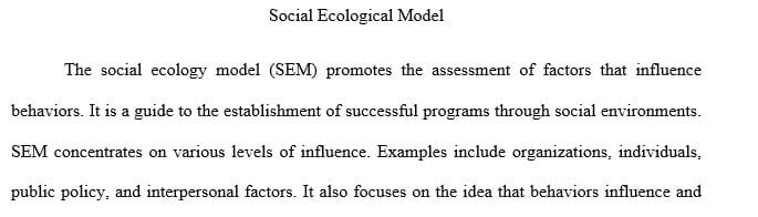 Complete each section of the "Social Ecological Model (SEM) Worksheet ...
