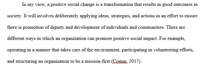 Implementing Positive Social Change From an Organizational Perspective ...