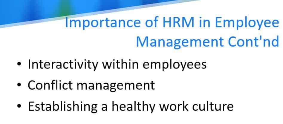 Explain why the HRM function is important to employee management and ...