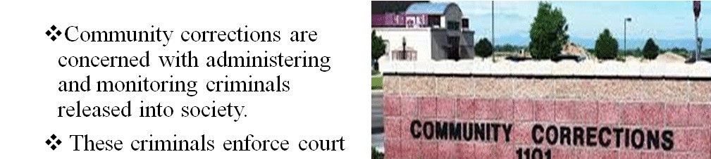 Imagine you work for a community corrections agency, and you are ...