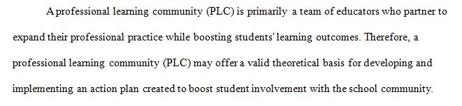 Is the construct of a professional learning community a valid theoretical foundation for ...